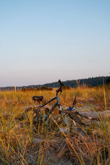 9 Best Things to Do on Savary Island, BC's Sunshine Coast (2026 Guide ...