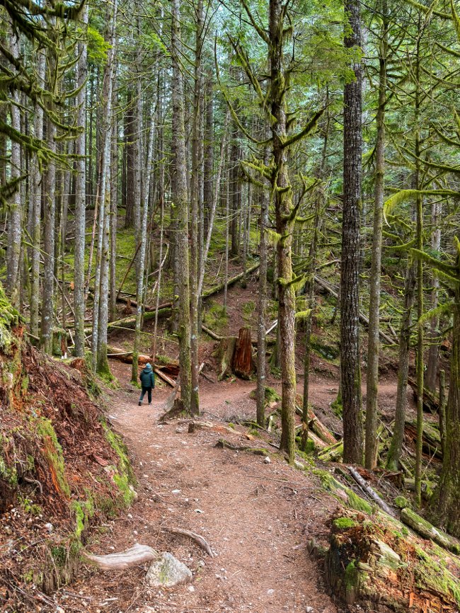 Four Lakes Trail, Alice Lake Provincial Park (2026 Local Guide ...