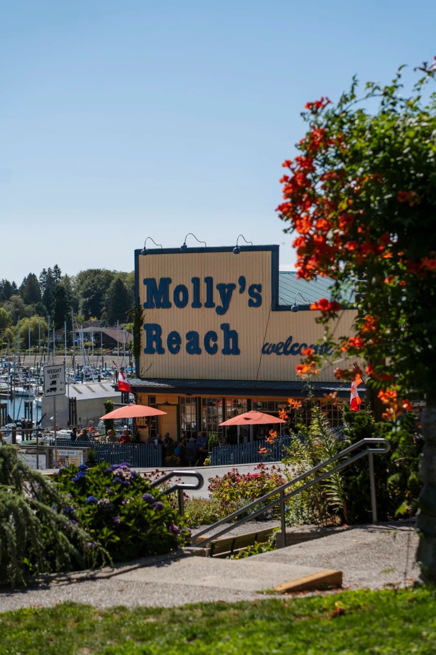 Ultimate 10-Day Sunshine Coast Road Trip Itinerary (2026 Guide ...