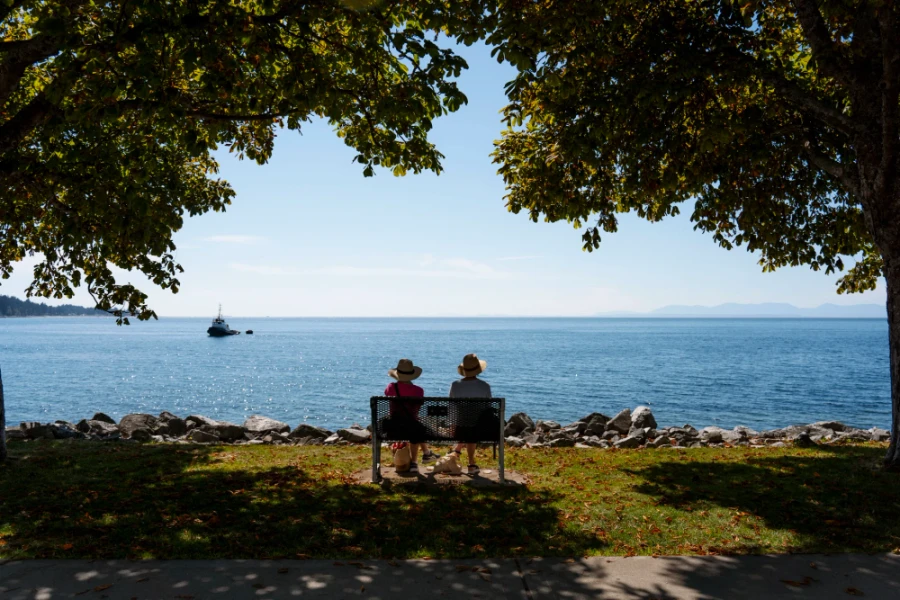 Ultimate 10-Day Sunshine Coast Road Trip Itinerary (2026 Guide ...