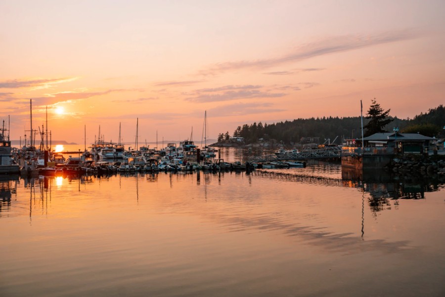 Ultimate 10-Day Sunshine Coast Road Trip Itinerary (2026 Guide ...